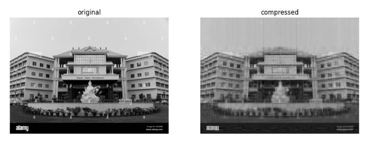 Svd Based Image Processing Applications